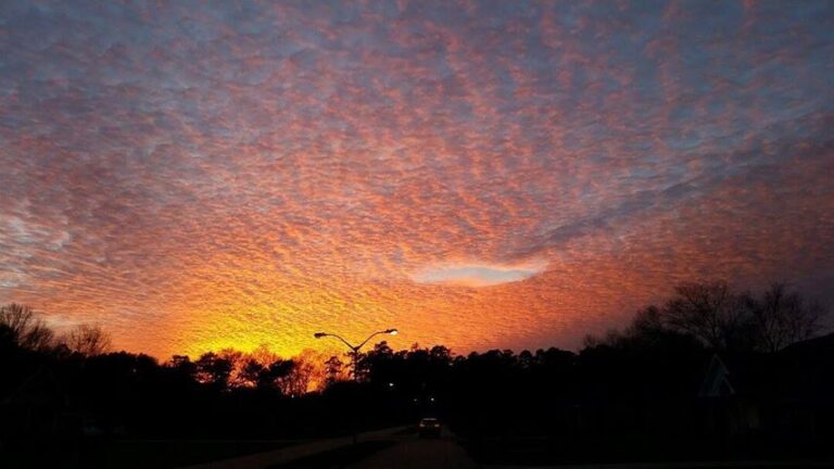 Types of clouds: names, characteristics and photos - AgroCorrn