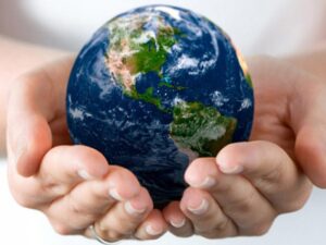 Difference between autoecology and synecology and examples - AgroCorrn